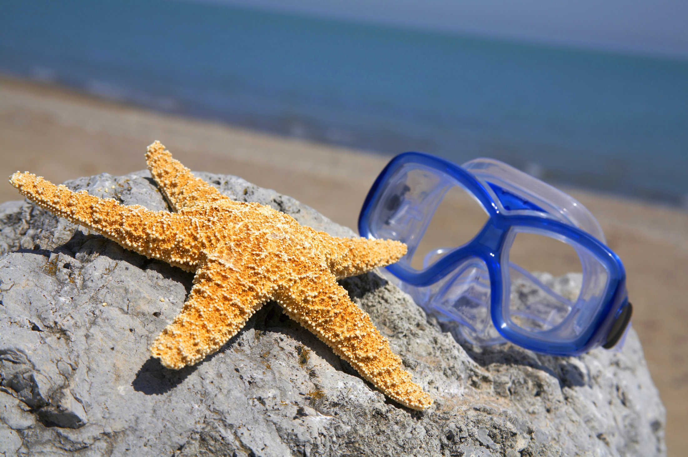 British Virgin Islands, BVI - ITC Travel GuideITC Travel Guide